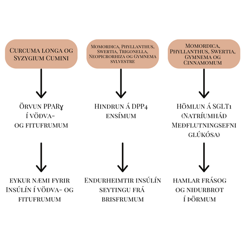 Curalin｜Klínískt rannsakaður blóðsykursstuðningur